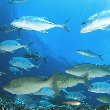 Die faire Milch x Milprima | PENNY.de